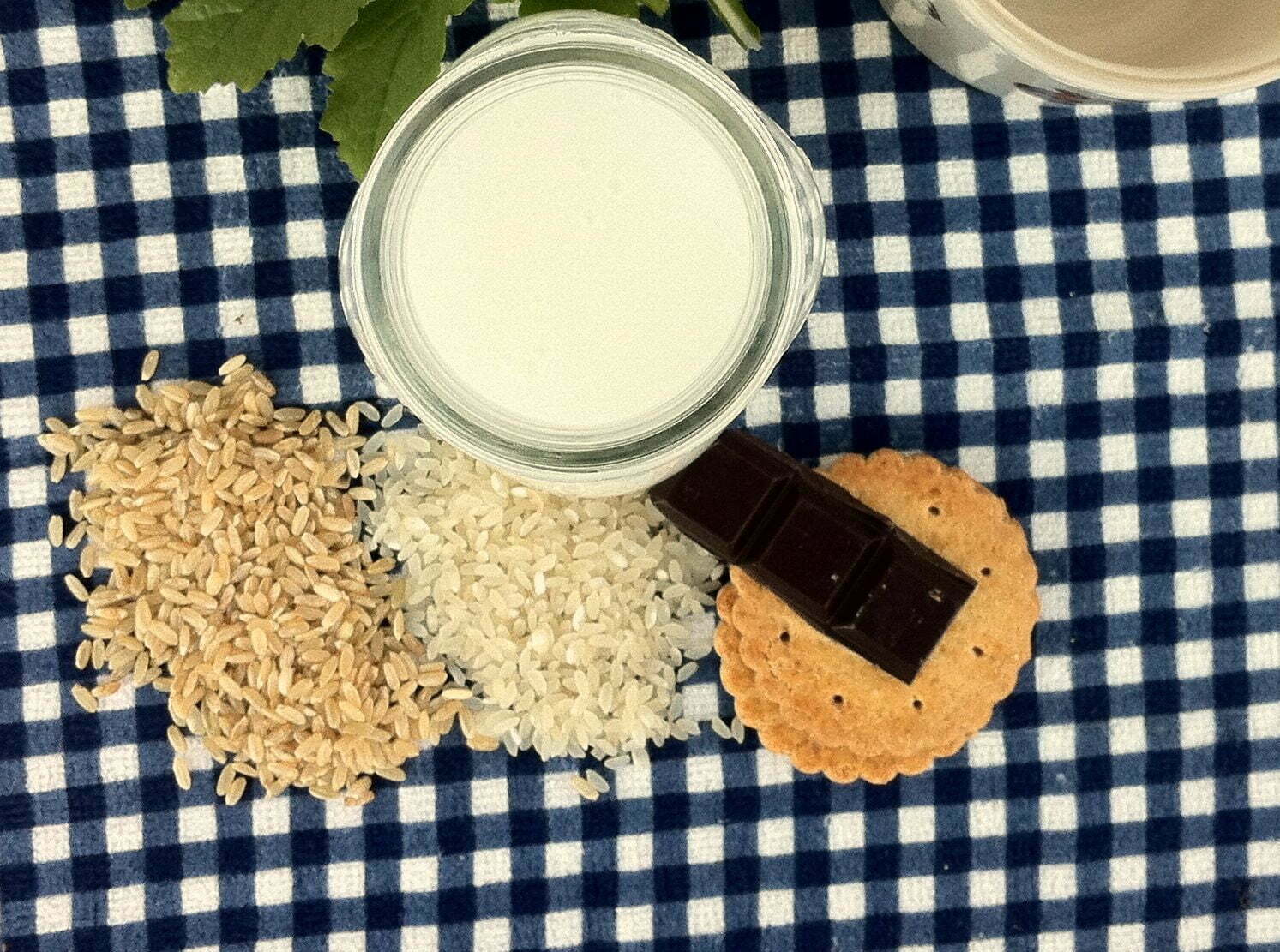 Lait de riz à partir de grains crus – Recette améliorée - Vegan Milker